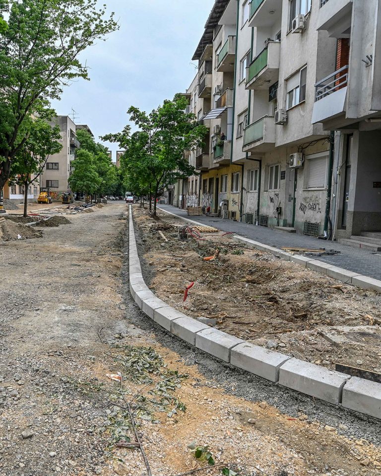 Zeleniot-grad-Skopje-se-sopna-na-ulicata-Orce-Nikolov-g2-6